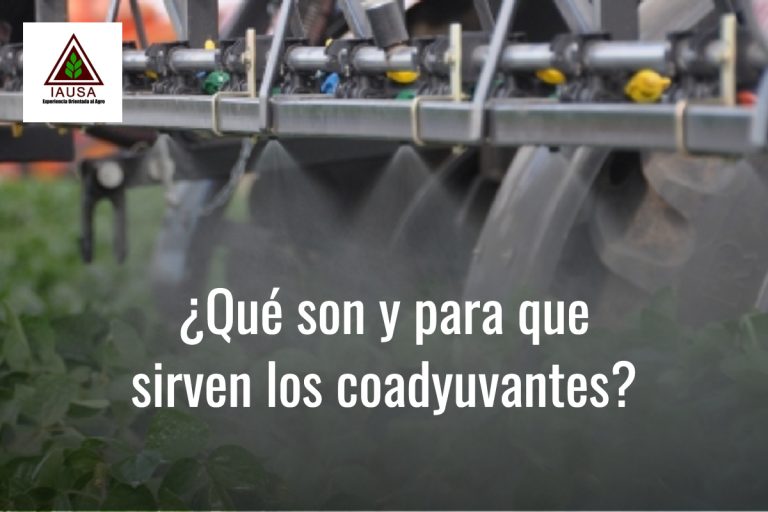 ¿Qué son y para que sirven los coadyuvantes? – IAUSA