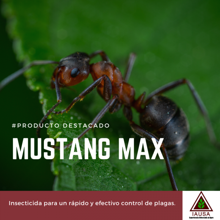 Mustang Max – Insecticida – IAUSA