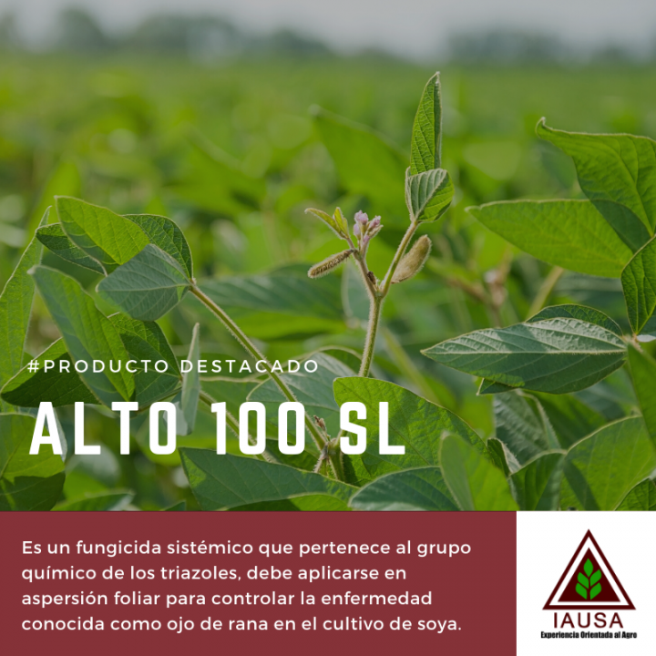 ALTO 100 SL – Fungicida Foliar – IAUSA